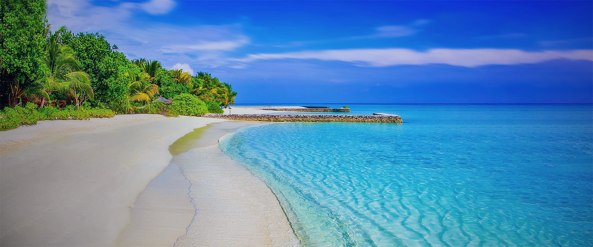 Expert Travel Agents in Irving, Arlington, Fort Worth - Loyal Travel